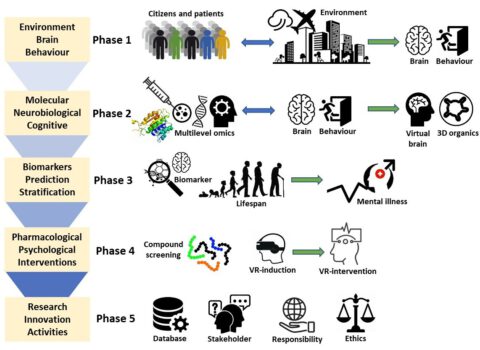 Overview of environMENTAL
