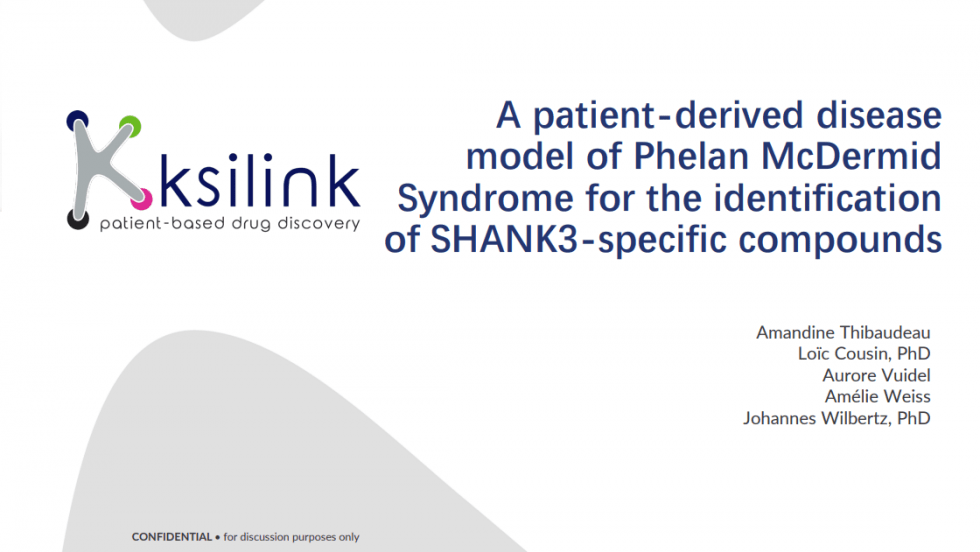 Implementation of a model of Phelan McDermid Syndrome